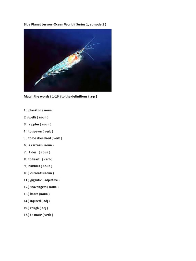 The Blue Planet Lesson | PDF | Whales | Herring