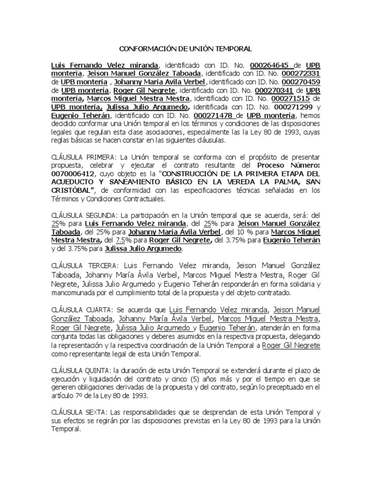 Conformacion de Union Temporal | PDF | Gobierno