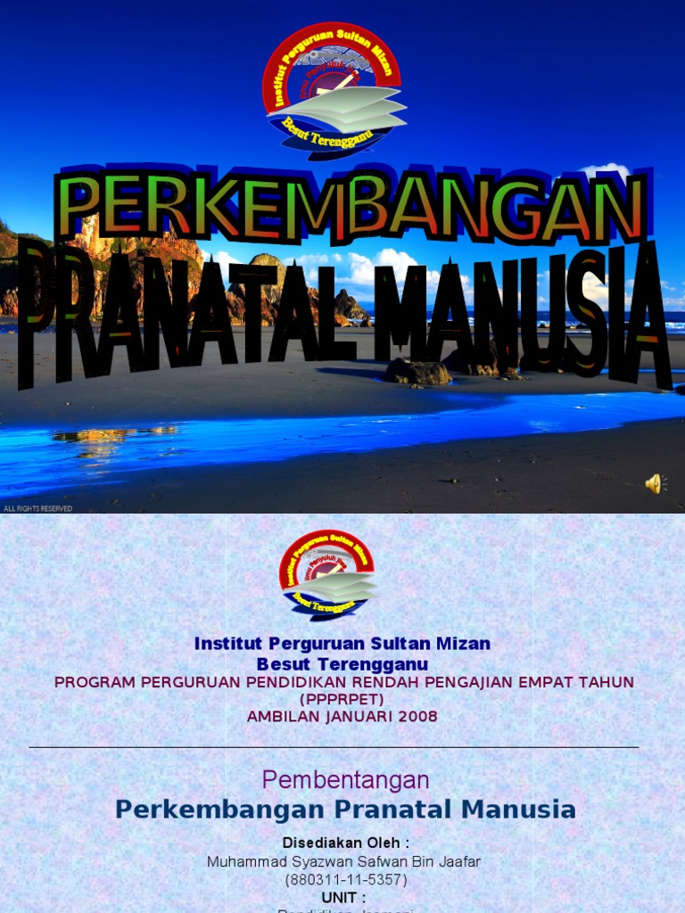 Perkembangan Prenatal Manusia | PDF