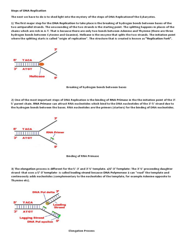 Steps of DNA Replication | PDF | Dna Replication | Primer (Molecular ...