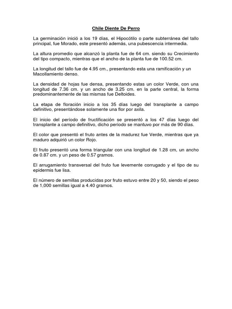 Características del Chile Diente de Perro | PDF