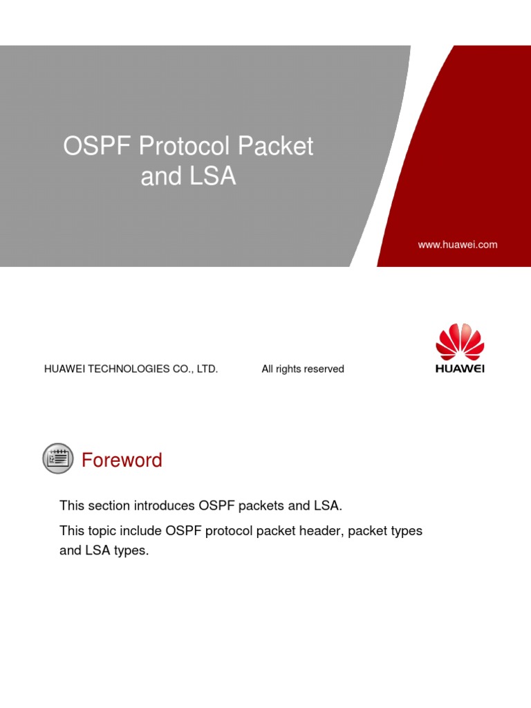 OSPF Packet and LSA Overview | PDF | Internet Protocols ...