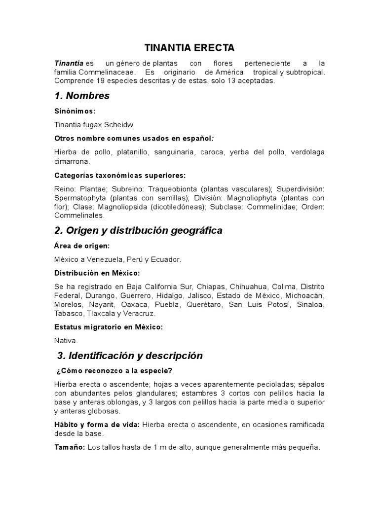 Tinantia Erecta | PDF | Flores | Hoja