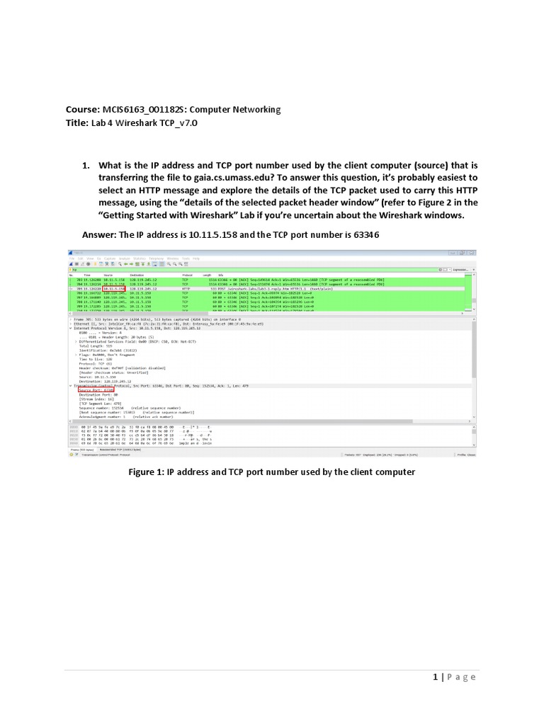 Computer Networking Tcp Lab Pdf Transmission Control Protocol Port Computer Networking