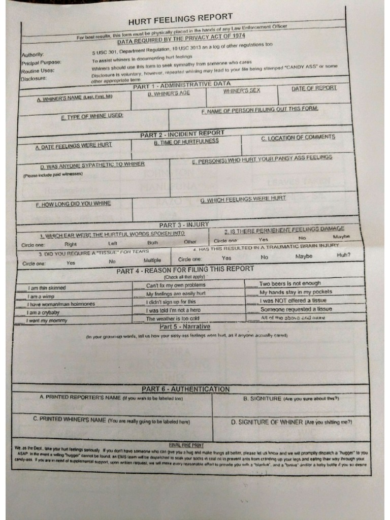 Hurt Feelings Report | PDF