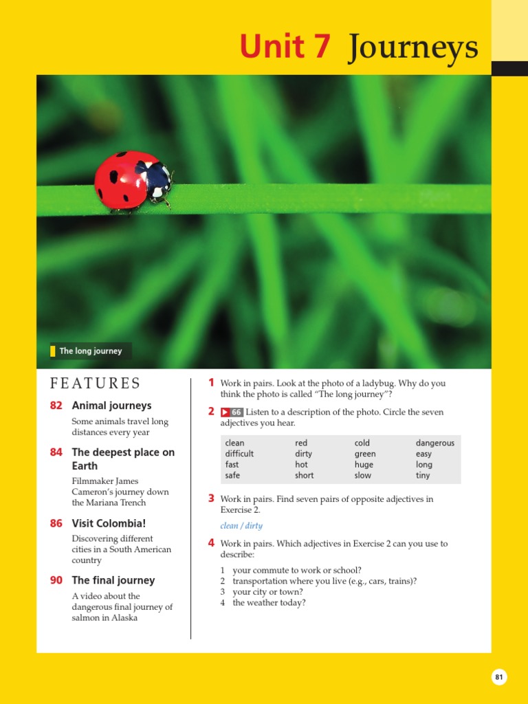 Ladybug Adjectives in Animal Journeys | PDF | Adjective | Grammar