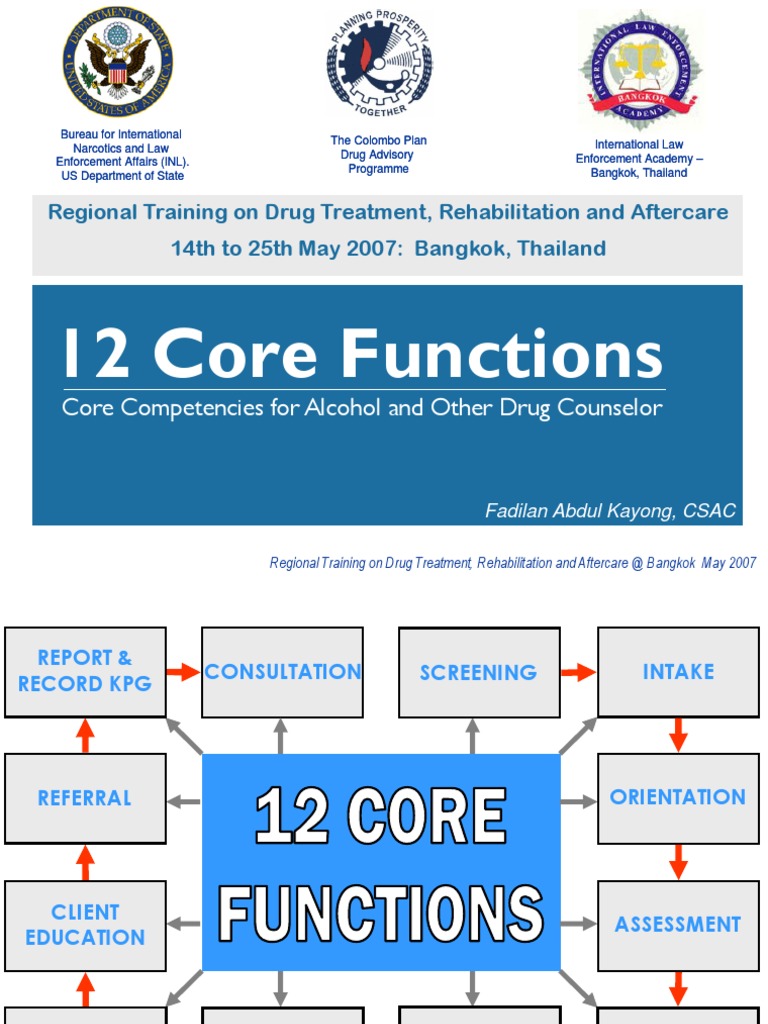 12 Core Functions | PDF | Drug Rehabilitation | Substance Abuse 12 Core Functions | PDF | Drug Rehabilitation | Substance Abuse