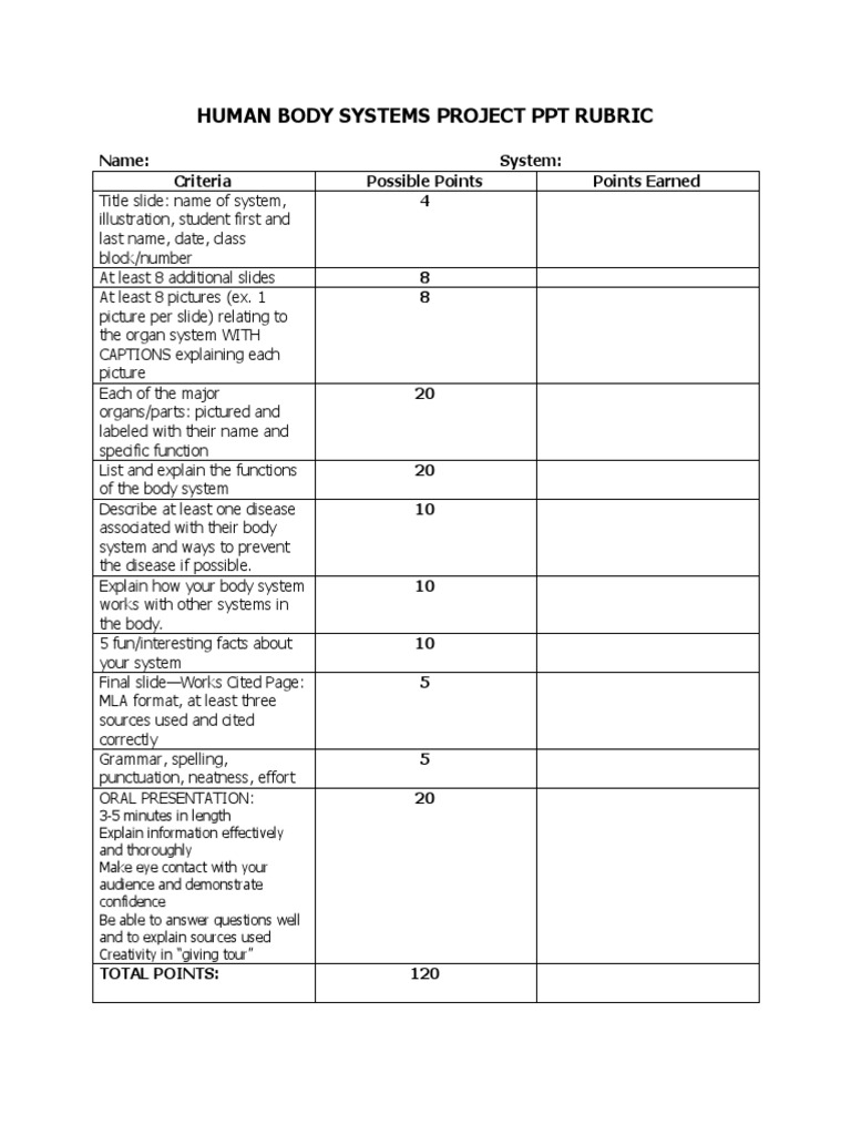 Human Body Systems Project | PDF | Human Body | Muscle