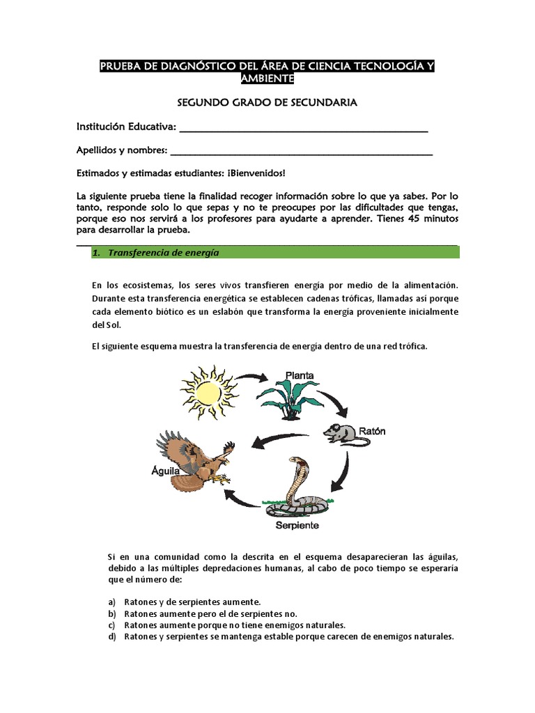 Prueba Diagnóstica de Ciencia y Tecnología | PDF | Hoja | Organismos