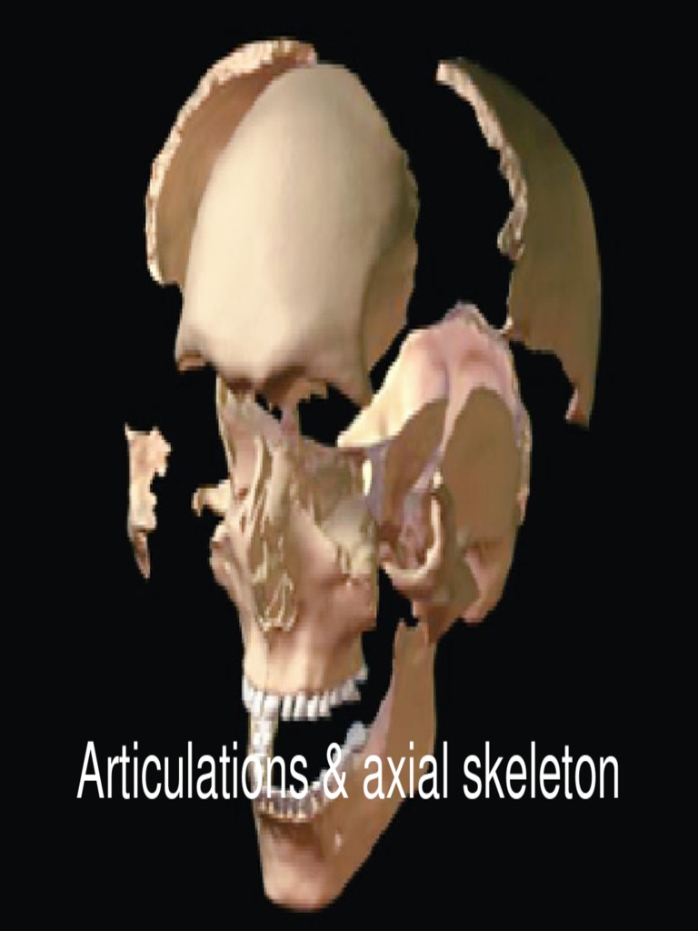Articulations & Axial Skeleton | PDF | Vertebral Column | Vertebra