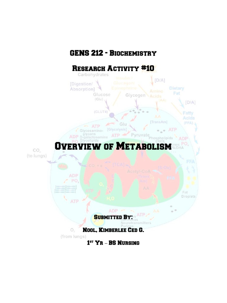 Overview of Metabolism | PDF | Metabolic Pathway | Metabolism