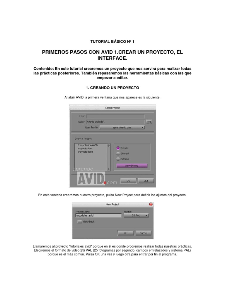 Avid Tutorial Basico PDF | PDF | Ventana (informática) | Point and Click