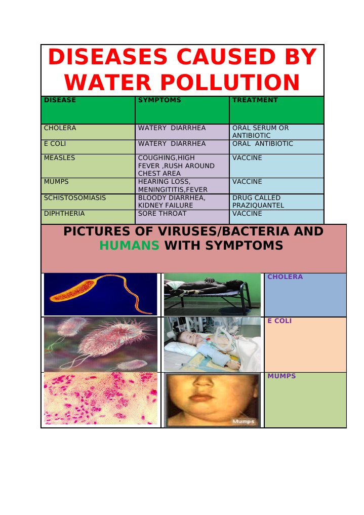Diseases Caused by Water Pollution | PDF