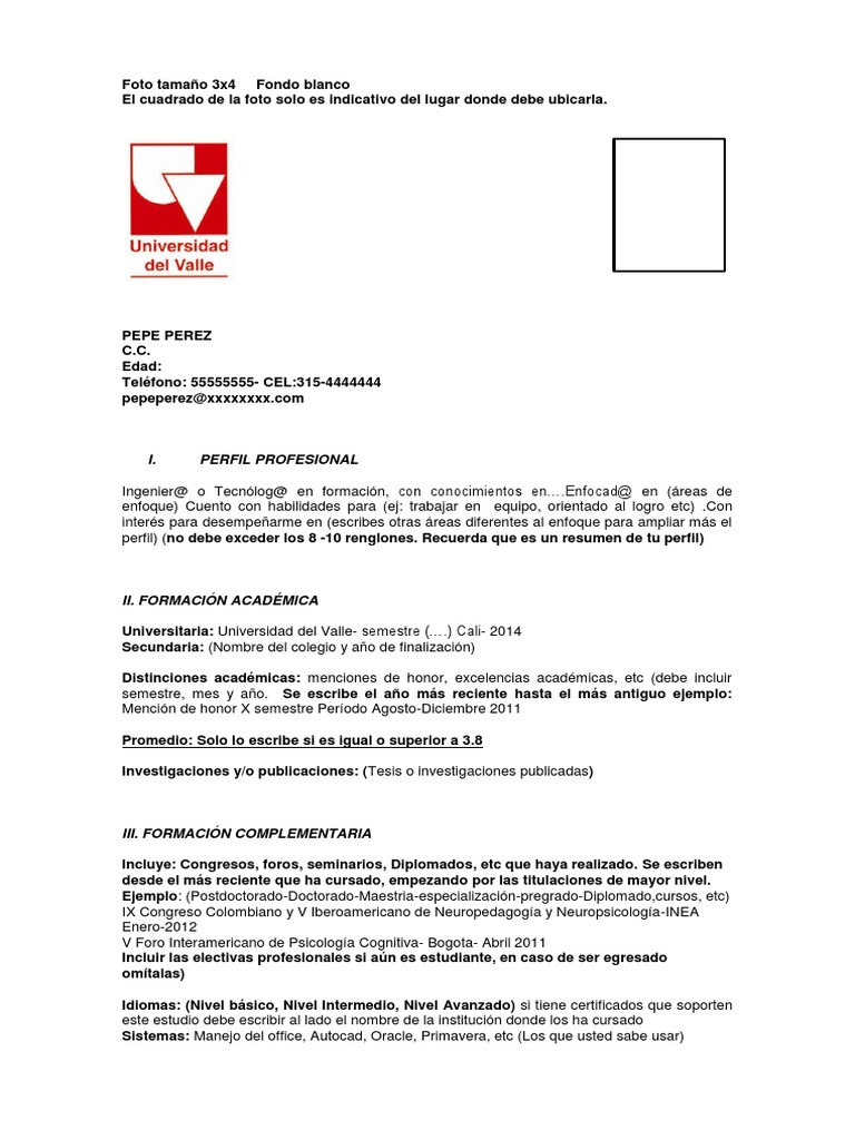 Modelo HV Actualizado | PDF | Cognición | Business