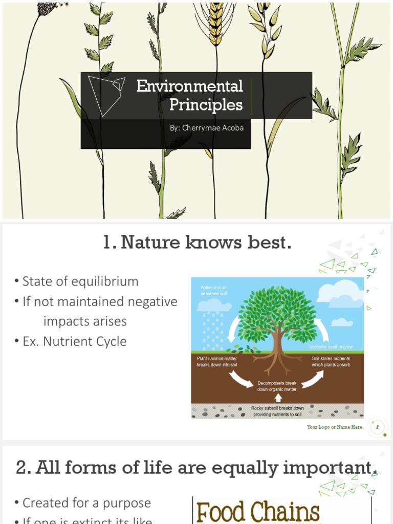 Environmental Principles: By: Cherrymae Acoba | PDF | Biodiversity | Nature