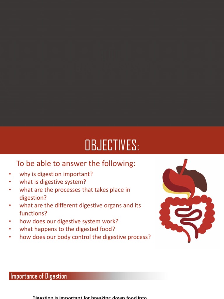 Digestive System PowerPoint | PDF | Human Digestive System | Digestion