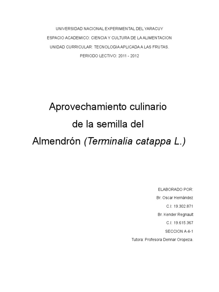 Aprovechamiento Culinario de La Semilla Del Almendrón (Terminalia ...