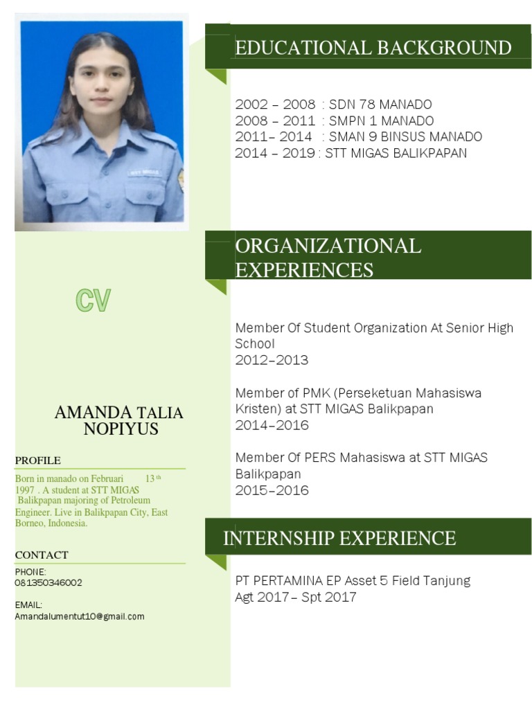 CV Amanda | PDF