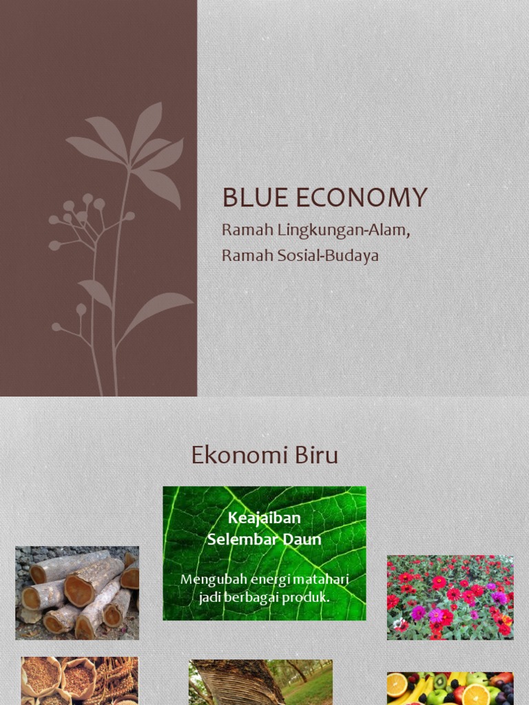 Blue Economy | PDF