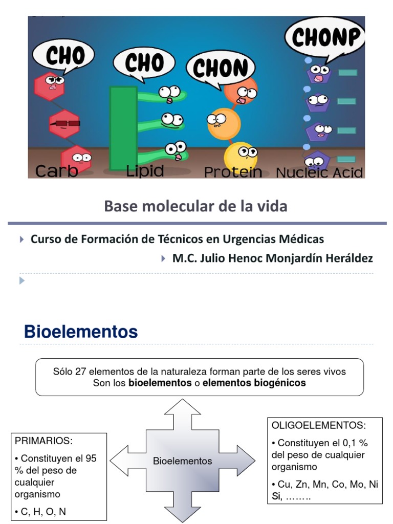 Base Molecular de La Vida | PDF | Adn | Rna