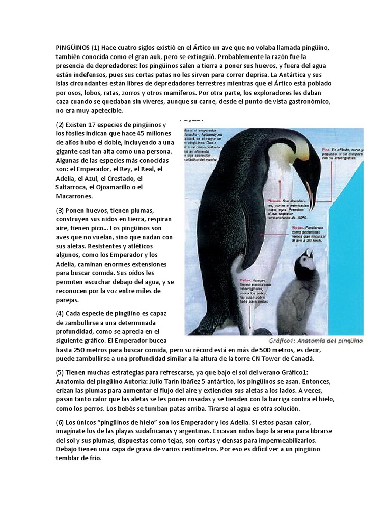 PINGÜINOS | PDF | Pingüino | Aves