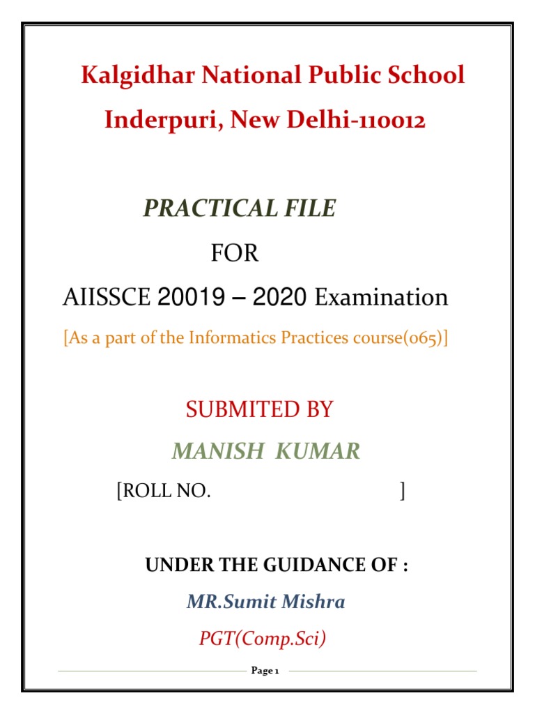 IP File Class 12 Pratical | PDF