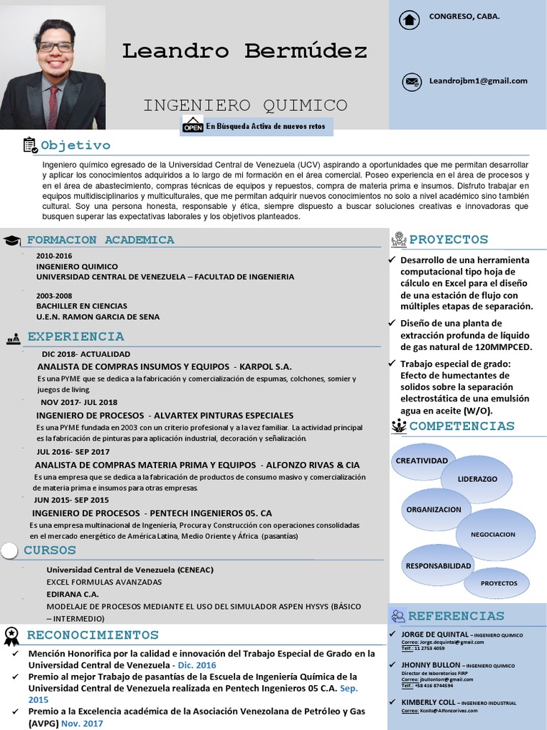 Currículum Vitae | PDF | Ingeniería Química | Ingeniería