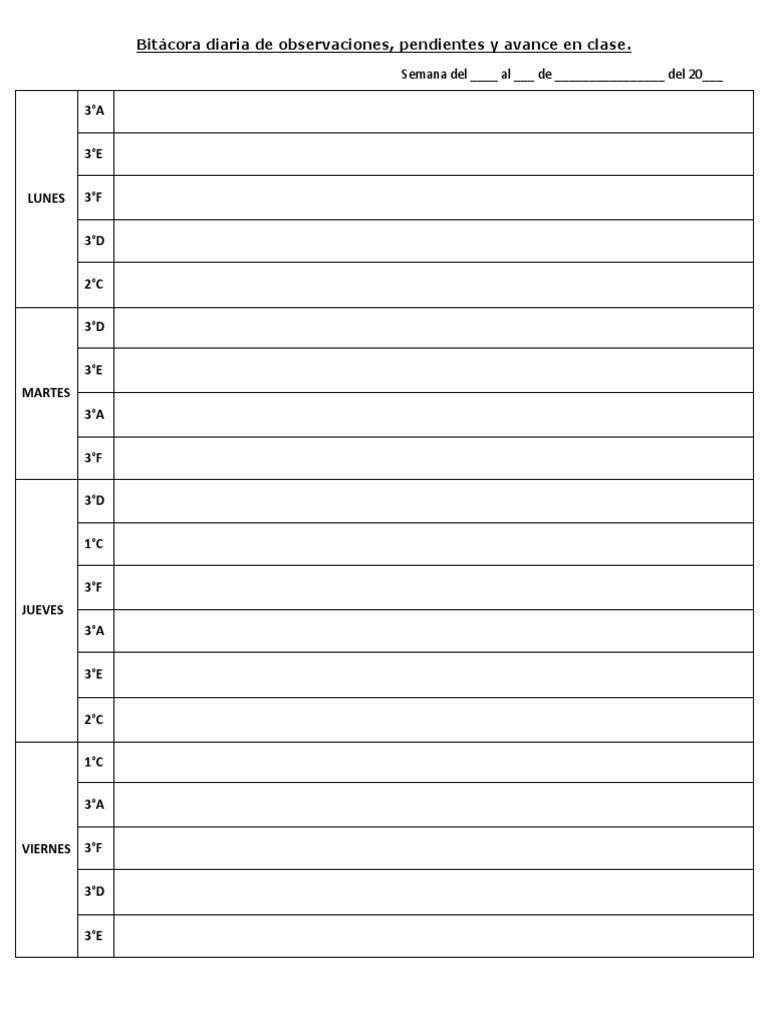 Bitácora Diaria de Observaciones | PDF