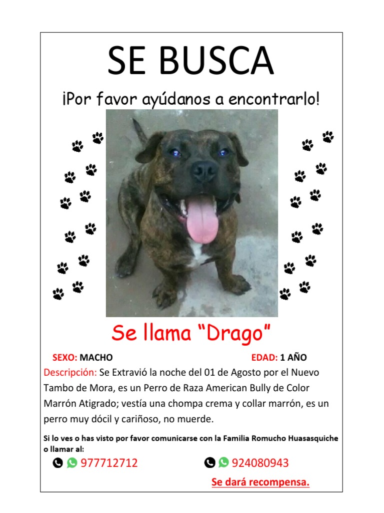 Cartel SE BUSCA 02 | PDF | Molossers | Razas de perros