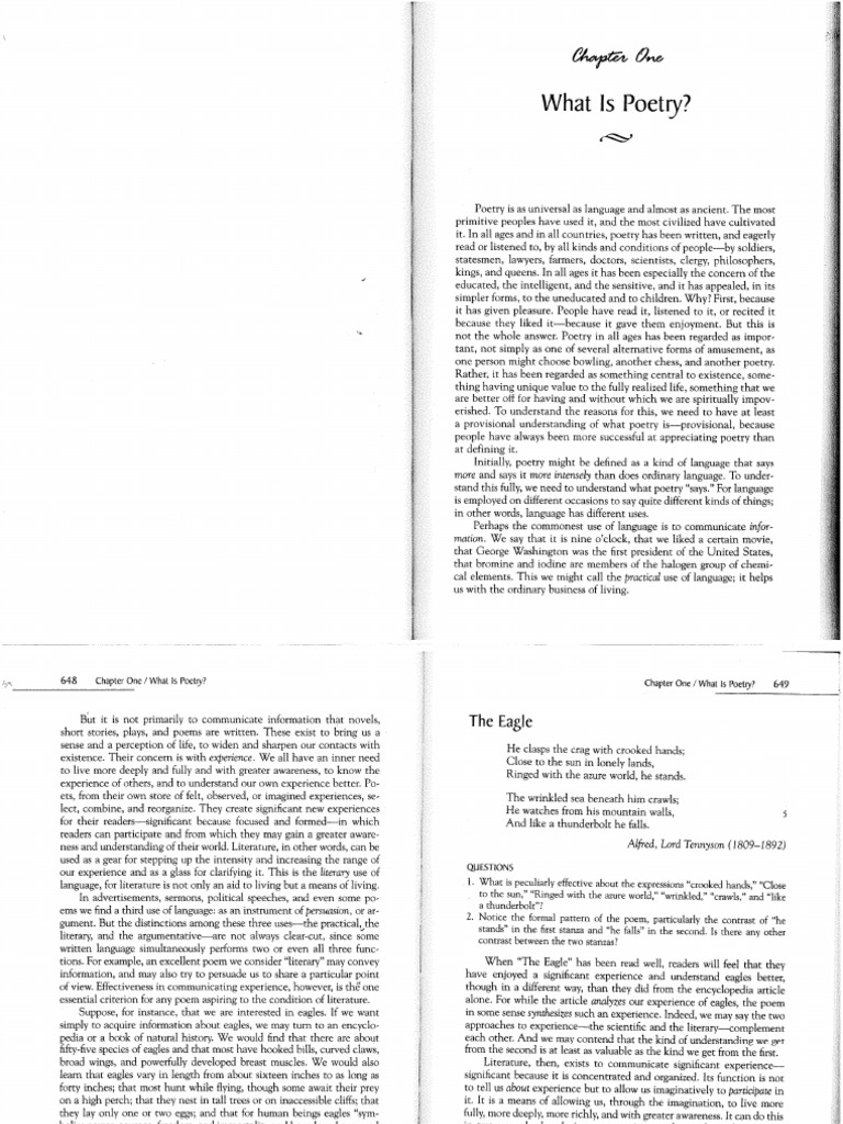 Perrine - Poetry Chapters | PDF