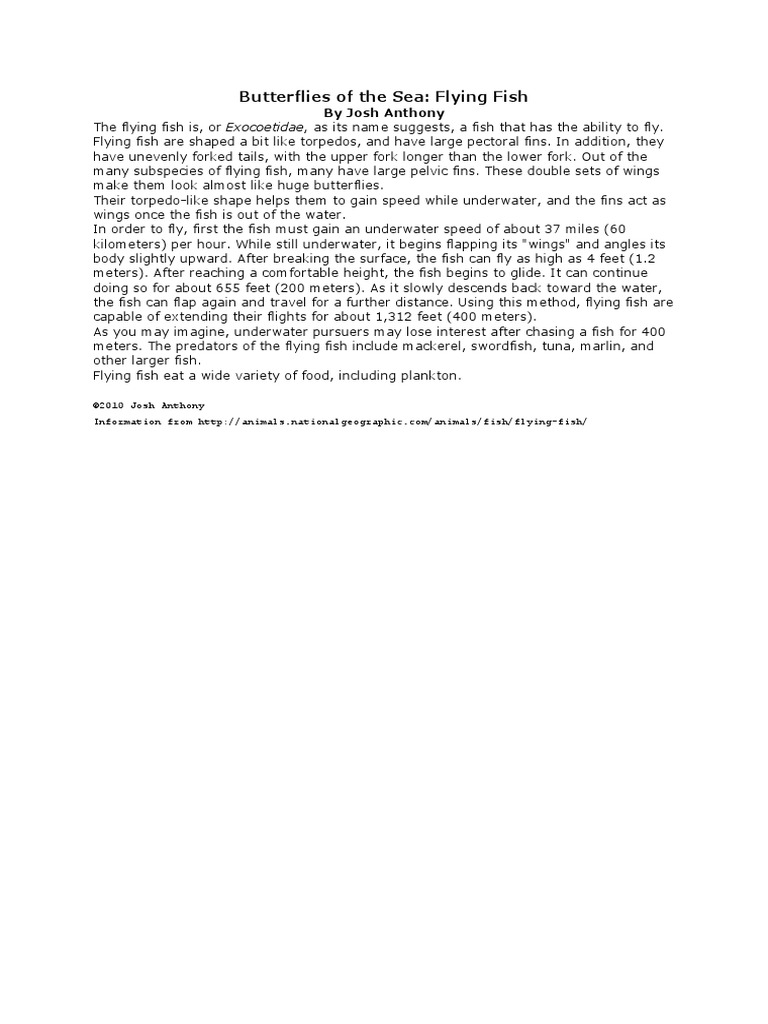 Flying Fish Essay | PDF