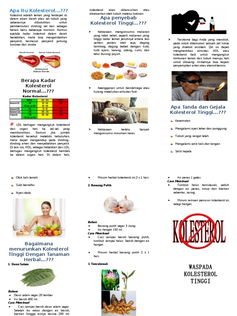 Leaflet Kolesterol | PDF