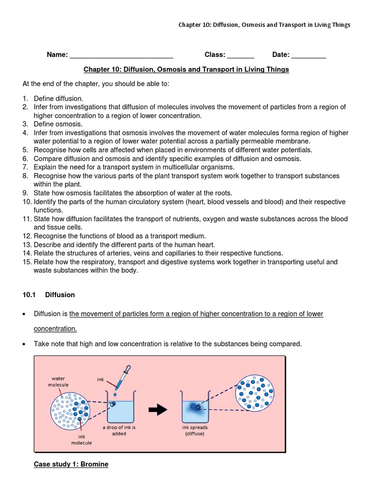 Chap 10 Diffusion, Osmosis and Transport - Teacher | PDF | Osmosis | Blood