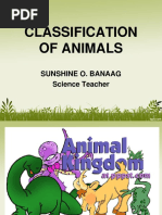 Animal Classification Charts | PDF | Invertebrate | Egg