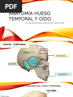 Anatomía y Fisiología Anorrectal | PDF | Recto | Sistema digestivo