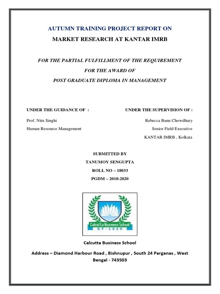 Final Autumn Internship Project | PDF | Economies | Business