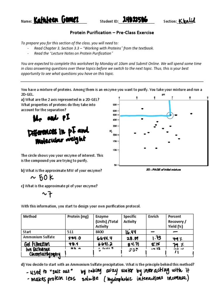 Protein Worksheet | PDF | Protein Purification | Biotechnology