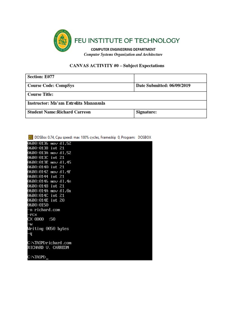 Canvas Activity 0 - Subject Expectations | PDF