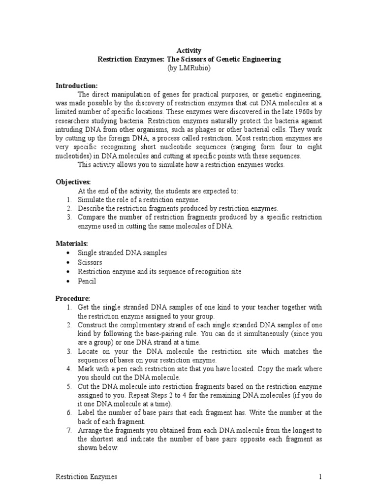 Activity Restriction Enzyme Scissors of GE | PDF | Restriction Enzyme ...