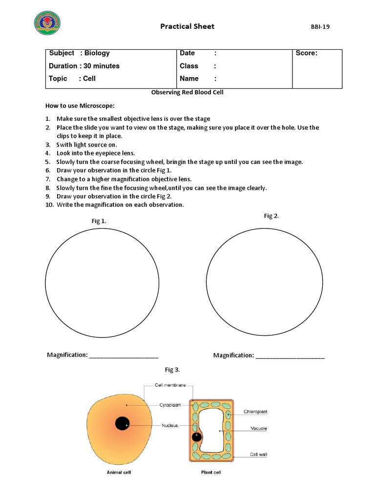 Grade 7 Practical Sheet Observing Onion Cell | PDF | Microscope | Cell ...