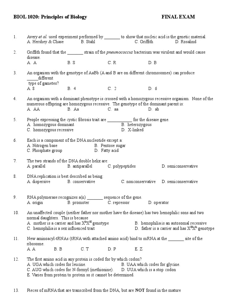 Biology Final Exam | PDF | Meiosis | Translation (Biology)