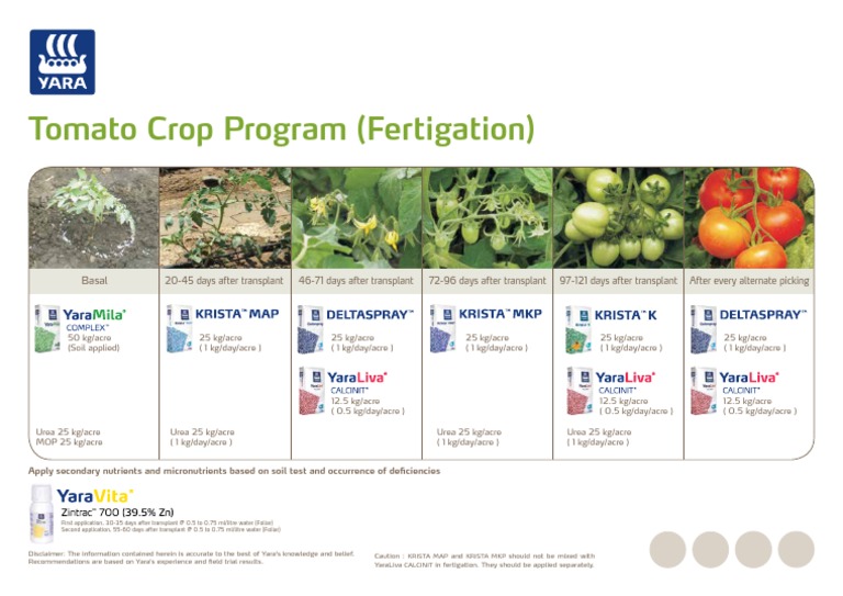 Tomato Crop Fertigation Guidelines | PDF