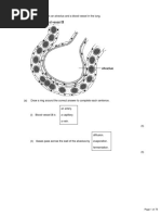 Osmosis in Red Onion Cells Experiment | PDF | Osmosis | Chemistry