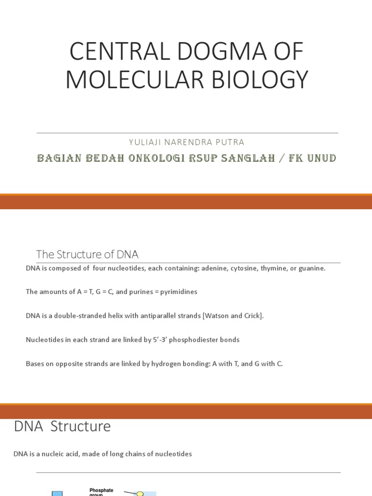 Central Dogma of Molecular Biology Rendra | PDF | Dna Replication ...