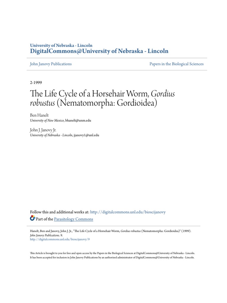 The Life Cycle of A Horsehair Worm, Gordius: Robustus (Nematomorpha ...