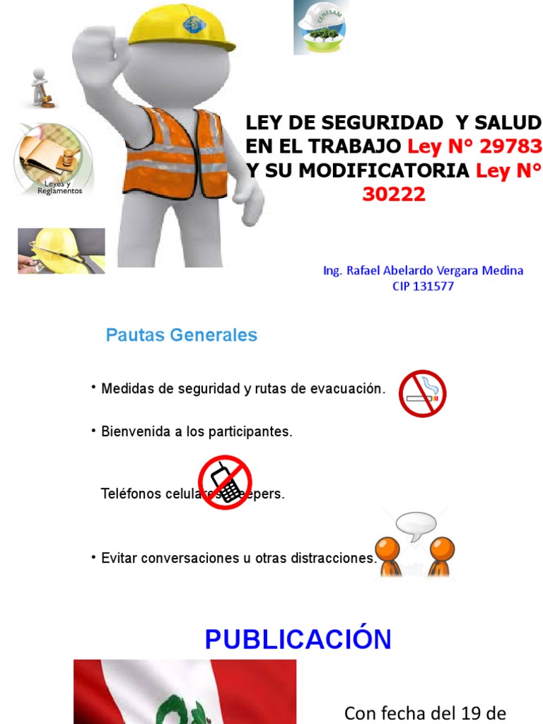 Ley #29783 y Modificatoria | Descargar gratis PDF | Derecho laboral | Seguridad y salud ocupacional