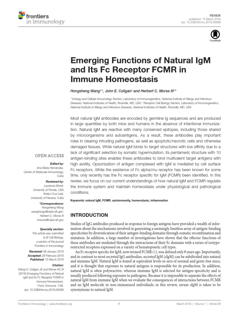 Emerging Functions of Natural Igm and Its FC Receptor FCMR in Immune ...