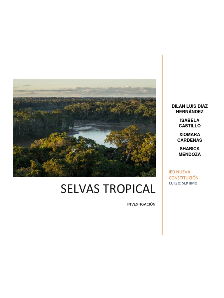 La selva tropical y sus características generales | PDF | Selva | Zona ...