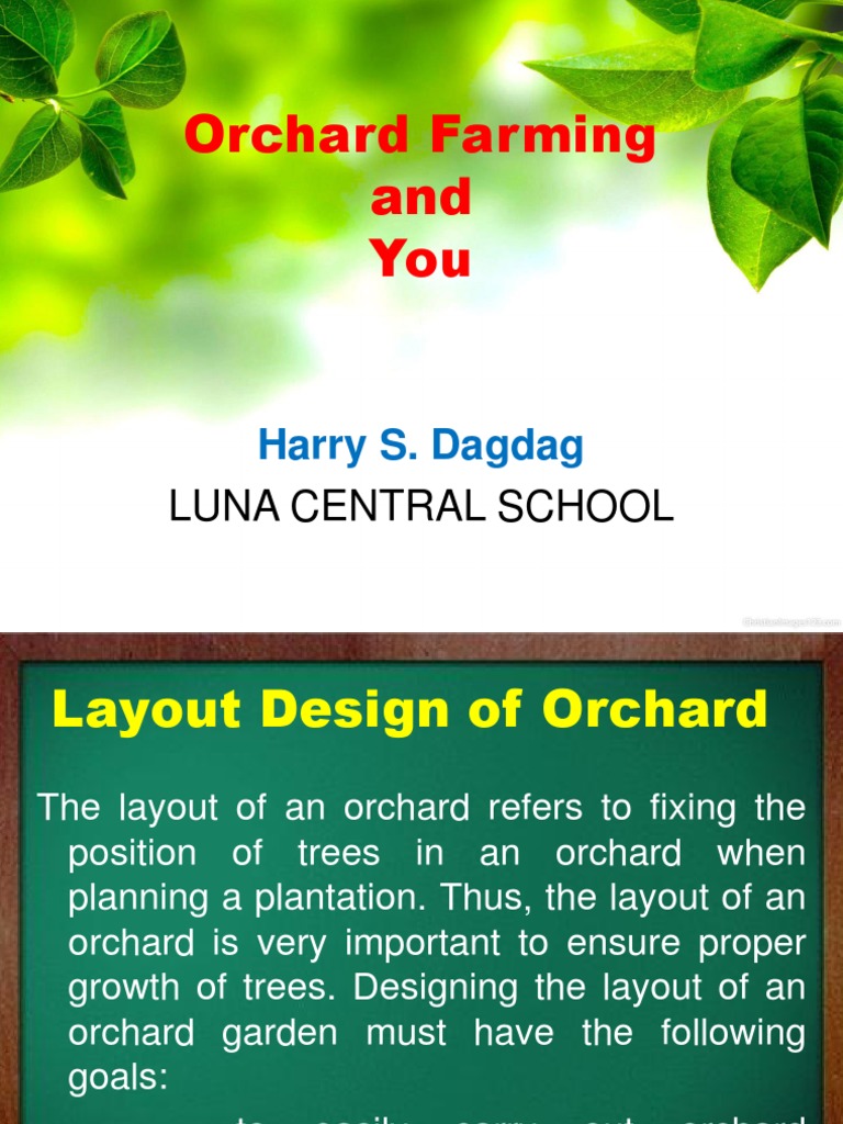 Orchard Farming | PDF | Landscape Architecture | Gardening