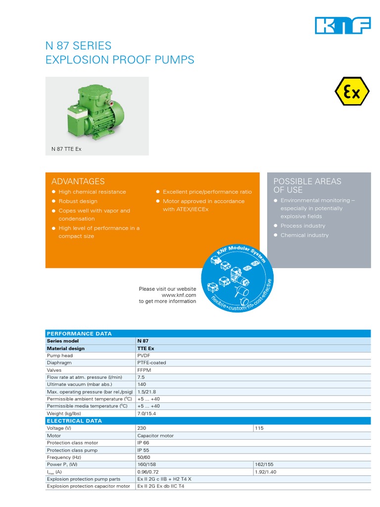 N 87 Series Explosion-Proof Pumps | PDF | Pressure | Physical Quantities